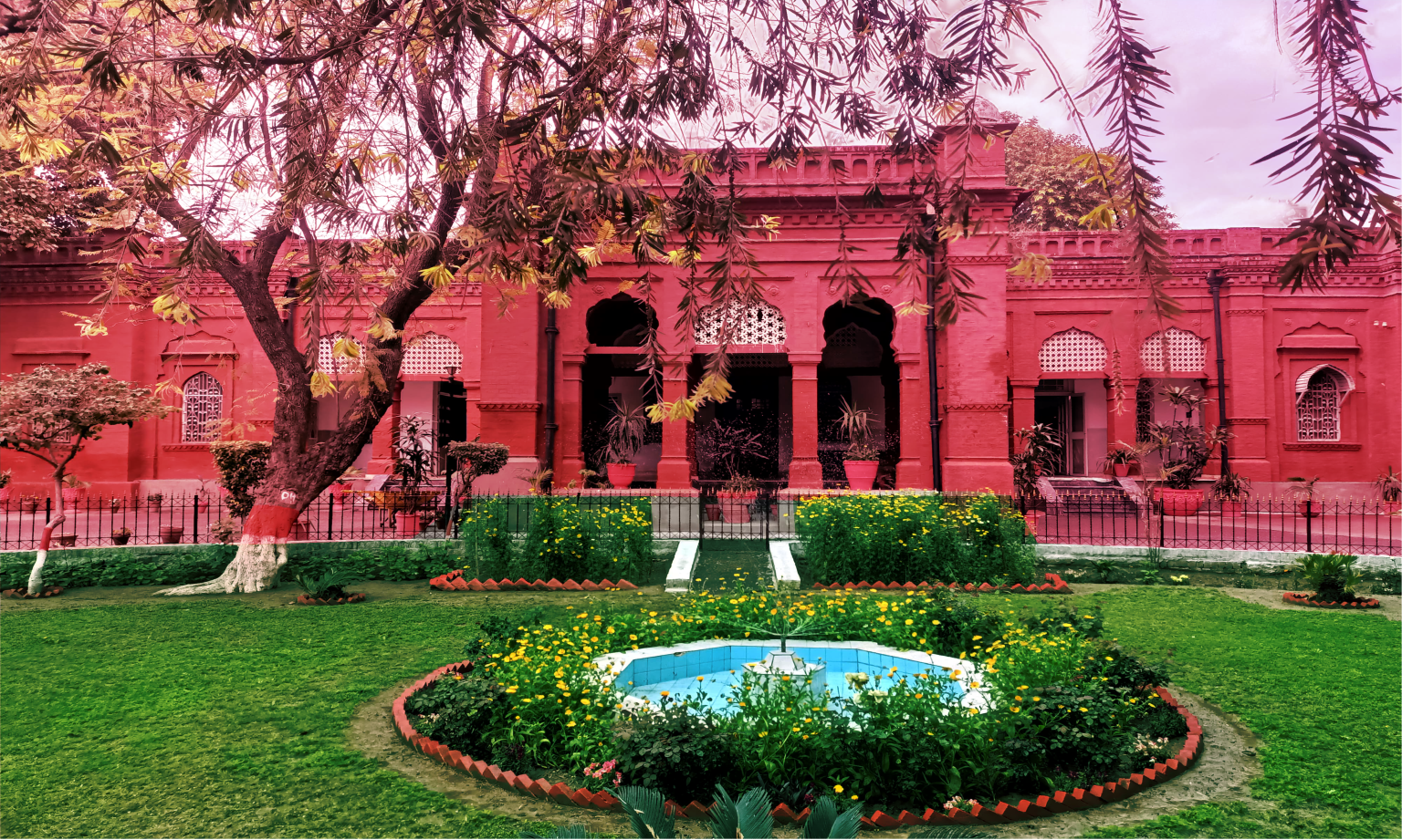 ADMISSIONS OPEN BS-ADP-2025 - QMC